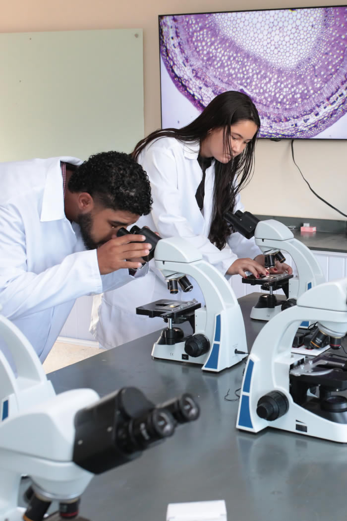 Práticas Interdisciplinares | AEFAN